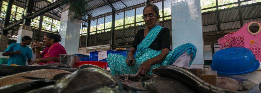Story of the original people of Mumbai in Worli – A walk through a ...